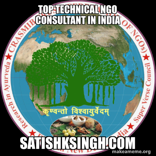 Top Technical NGO Consultant in India satishksingh.com Meme Generator