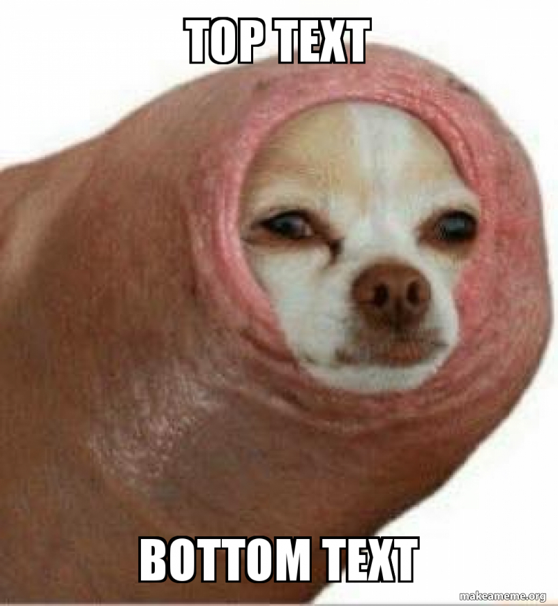 top text bottom text Meme Generator
