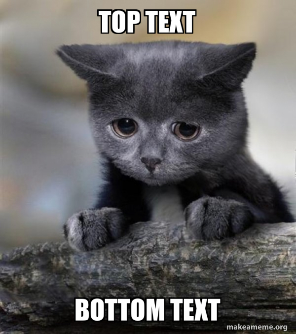 top text bottom text - Confession Cat Meme Generator