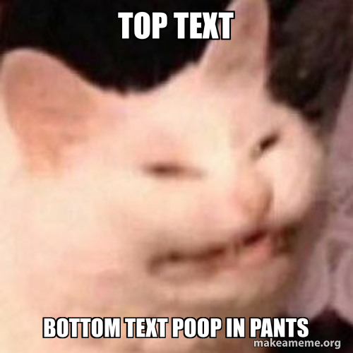 Top Text Bottom Text Poop in pants Meme Generator