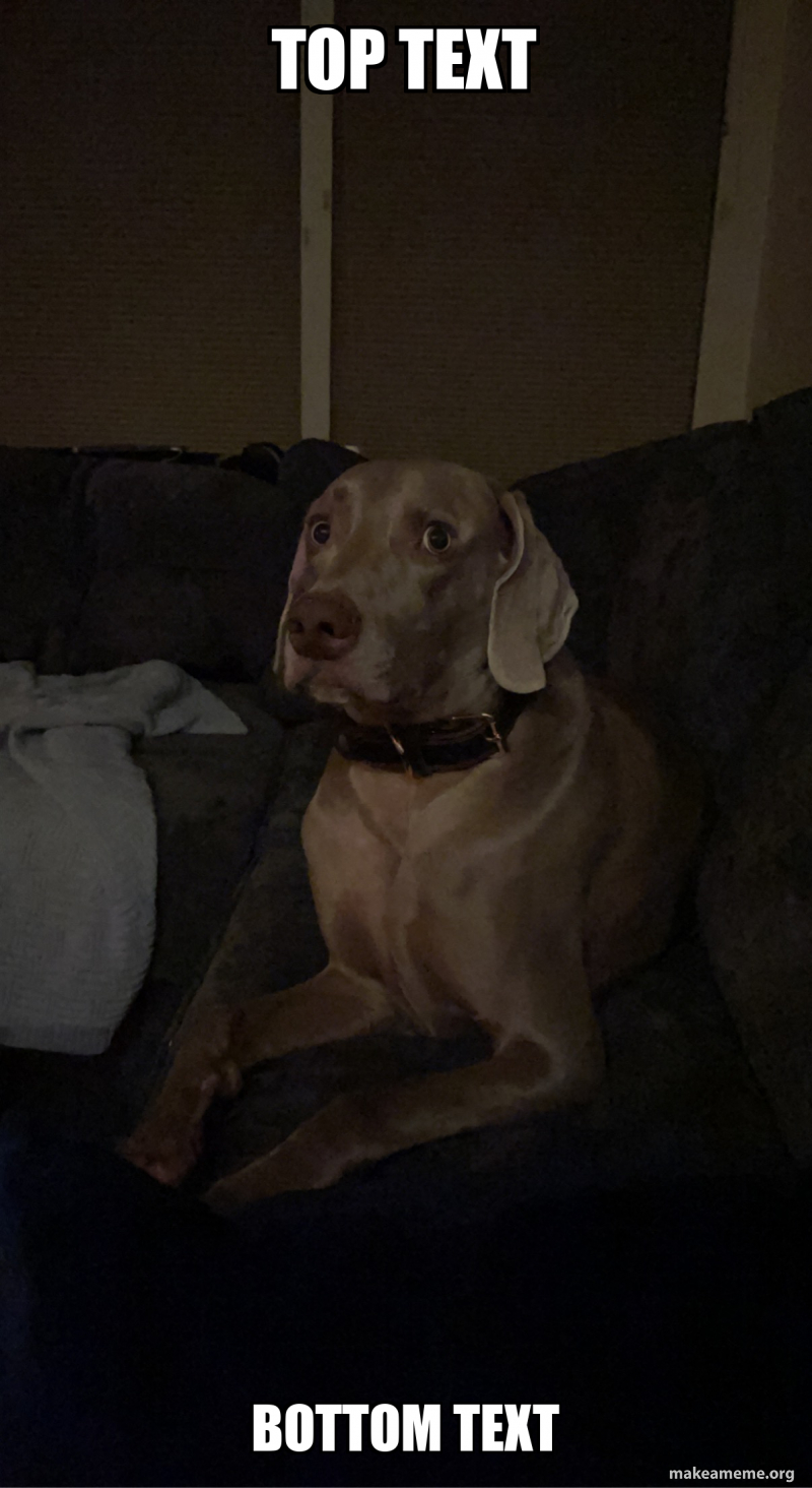 TOP TEXT BOttom text Meme Generator