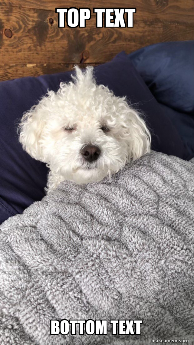 top text bottom text Meme Generator