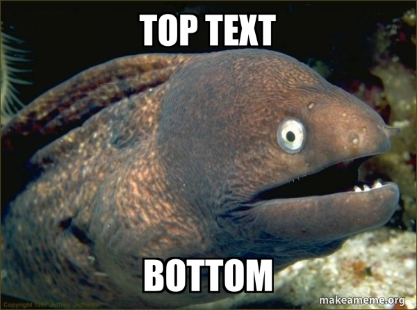 Top text Bottom - Bad Joke Eel Meme Generator
