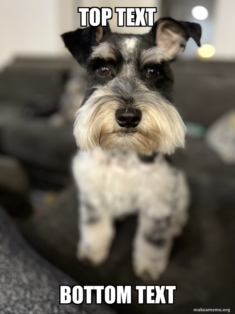 Top text bottom text Meme Generator