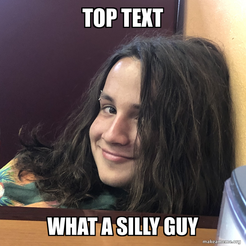 TOP TEXT WHAT A SILLY GUY Meme Generator