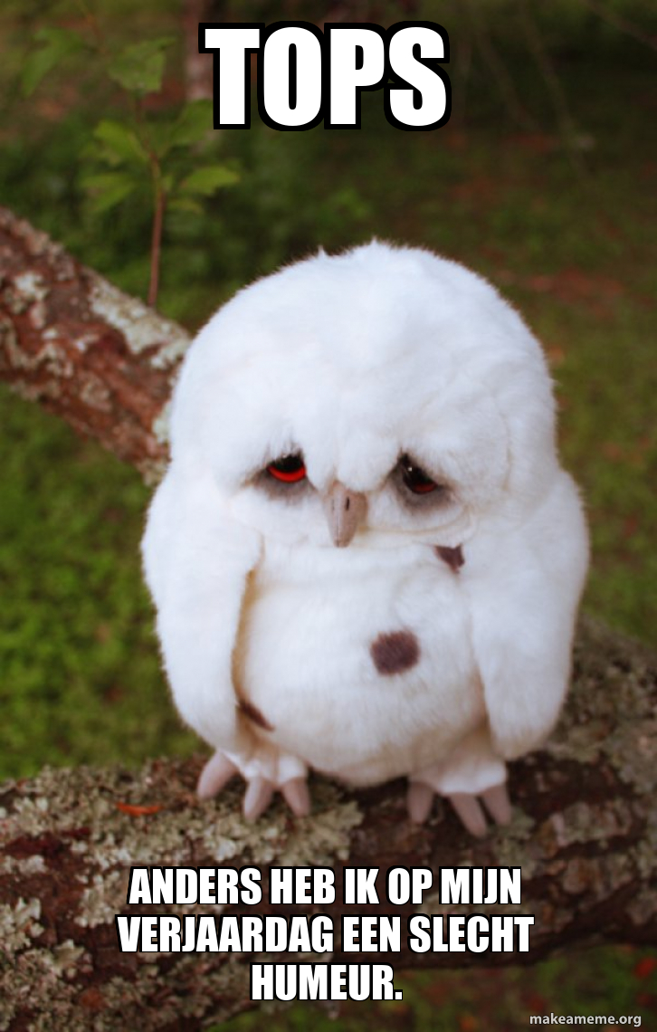 Tops anders heb ik op mijn verjaardag een slecht humeur. - Sad Owl Meme ...