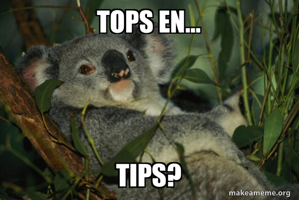 tops en... tips? - Laid Back Koala Meme Generator