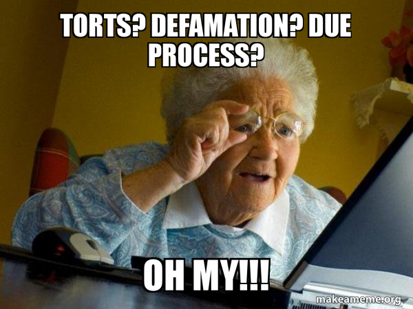 Torts? Defamation? Due Process? Oh My!!! - Internet Grandma Meme Generator