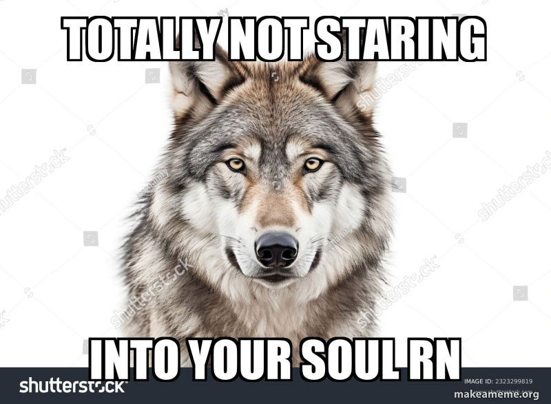 Totally nOT STARING INTO YOUR SOUL RN Meme Generator