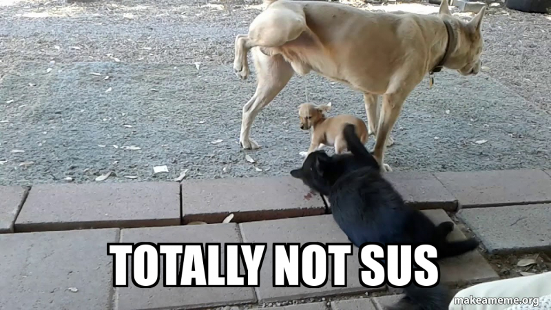 TOTALLY NOT SUS - .. Meme Generator