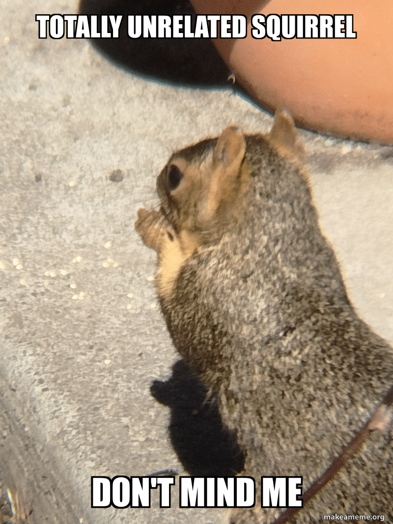 Totally unrelated squirrel Don't mind me Meme Generator