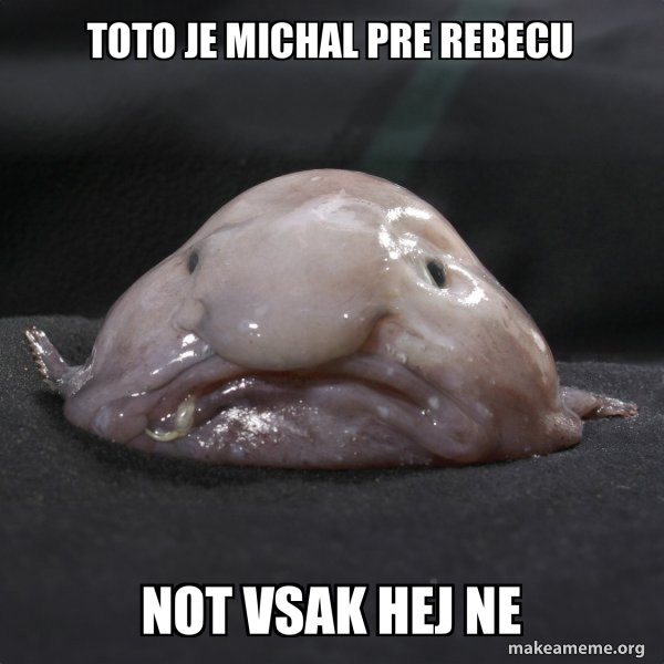 Toto je Michal pre rebecu Not vsak hej ne - Blobfish Meme Generator