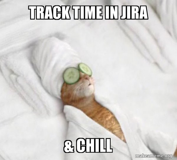 TRACK TIME IN JIRA & chill - Pampered Cat Meme Meme Generator