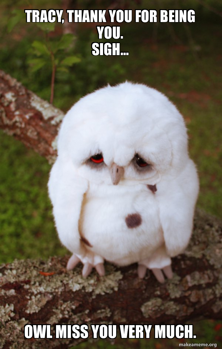 Tracy, thank you for being you. sigh… Owl miss you very much. - Sad Owl ...