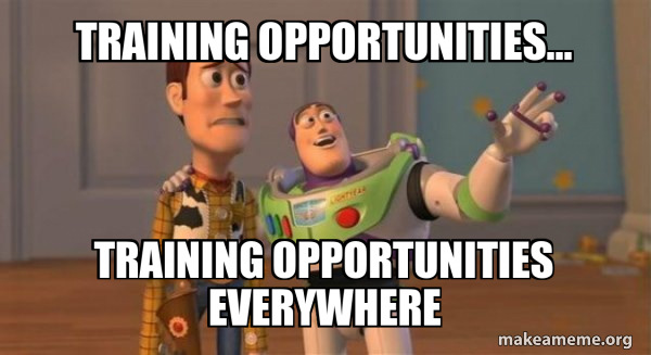 TRAINING OPPORTUNITIES... TRAINING OPPORTUNITIES EVERYWHERE - Buzz and ...