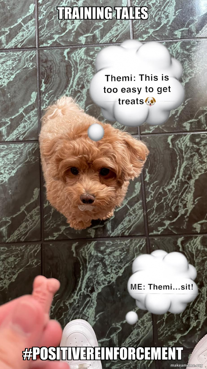 Training Tales #positivereinforcement Meme Generator