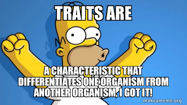 Traits Are A Characteristic that differentiates one organism from ...