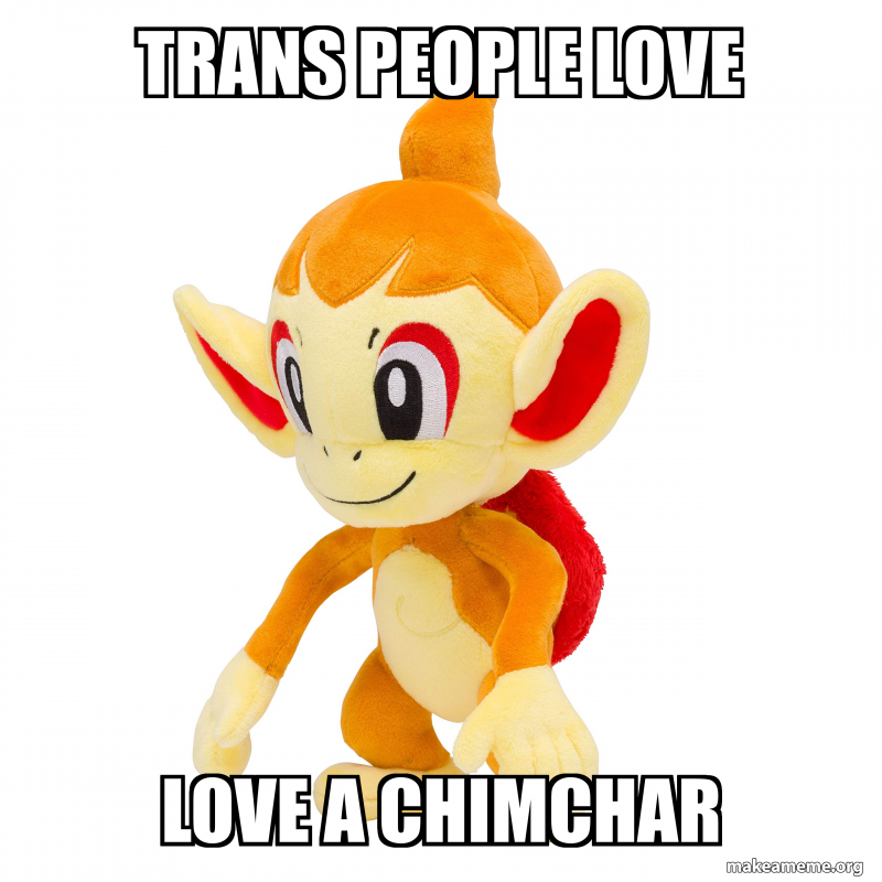 trans people love love a chimchar Meme Generator