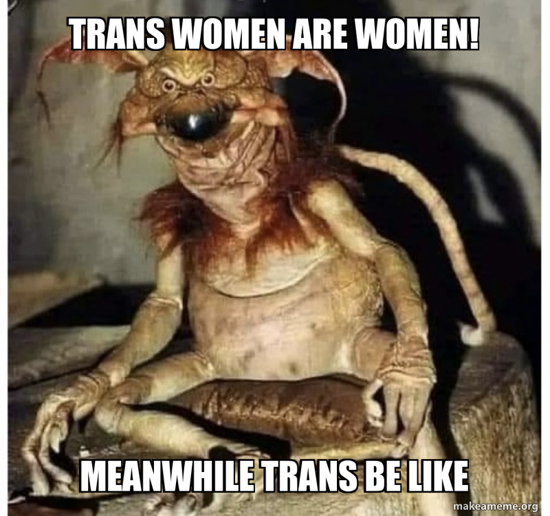 Trans women are women! Meanwhile trans Be like Meme Generator