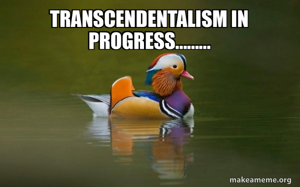 Transcendentalism in progress......... - Fashionable Advice Mallard ...