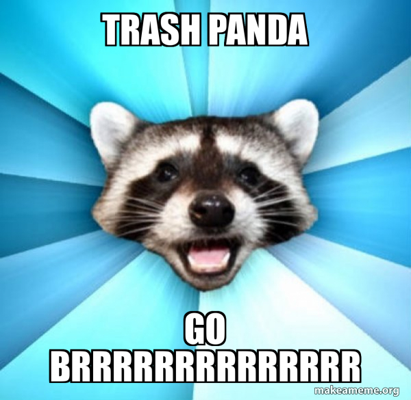 Trash panda go brrrrrrrrrrrrrr - Lame Pun Coon Meme Generator