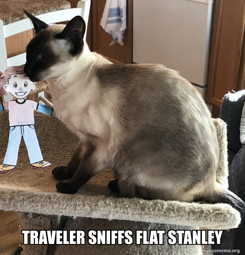 TRAVELER SNIFFS FLAT STANLEY Meme Generator