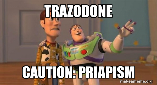 Trazodone Caution: priapism - Buzz and Woody (Toy Story) Meme Meme ...