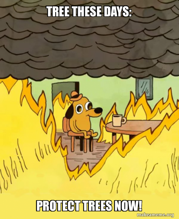 Tree these days: Protect trees now! - This Is Fine Meme Generator