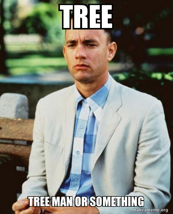 tree tree man or something - Forrest Gump Meme Generator