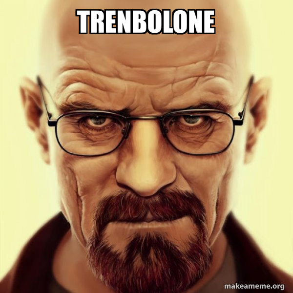 trenbolone - Walter White Breaking Bad Meme Generator