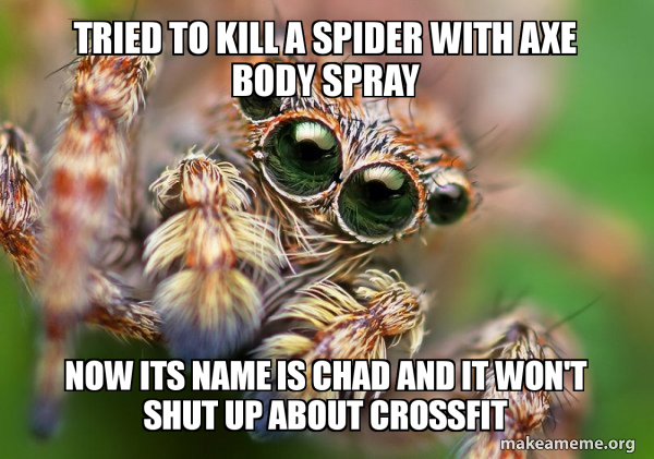 Tried to kill a spider with Axe body spray Now its name is Chad and it ...