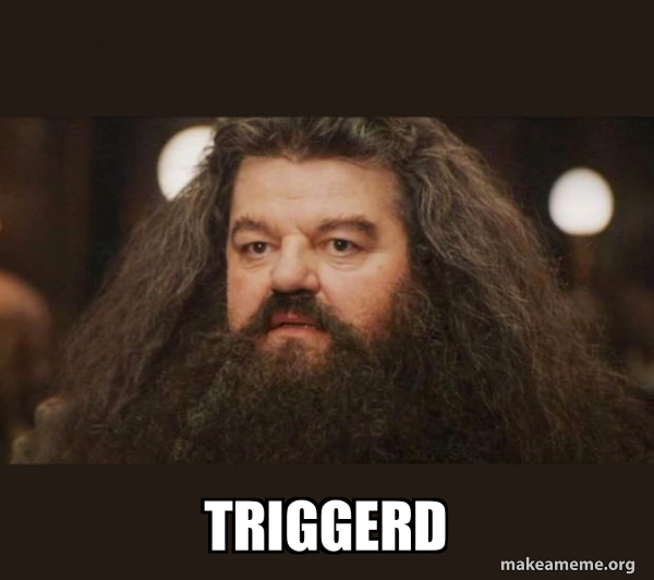 TRIGGERD - Hagrid - I should not have said that Meme Generator