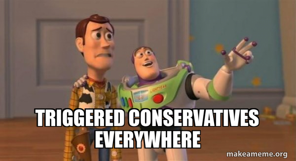 triggered conservatives everywhere - Buzz and Woody (Toy Story) Meme ...