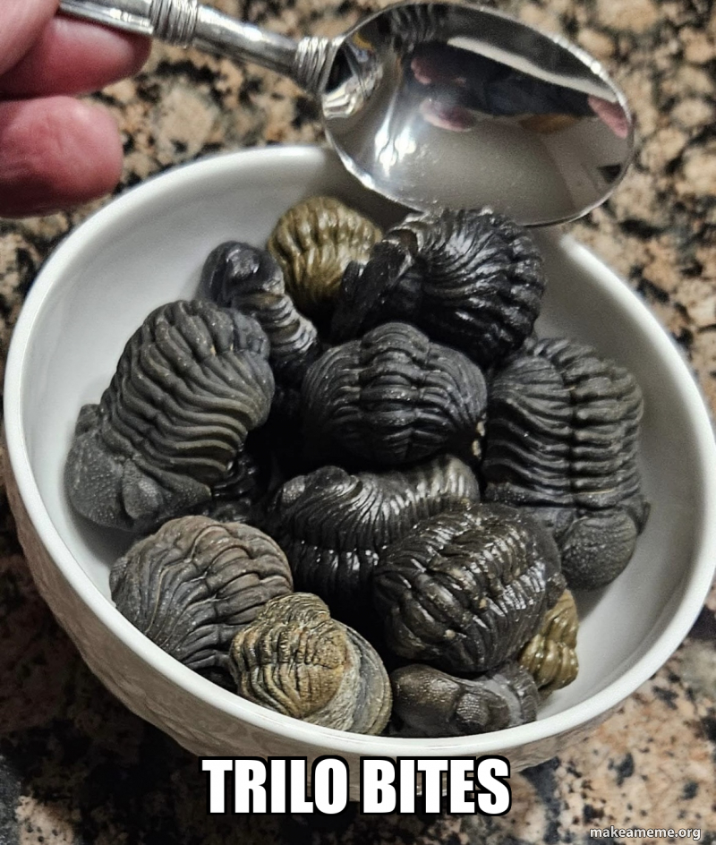 Trilo bites Meme Generator