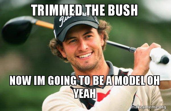 Pro Bush Memes 8,713 Funny Photos Bush Stock Photos Free