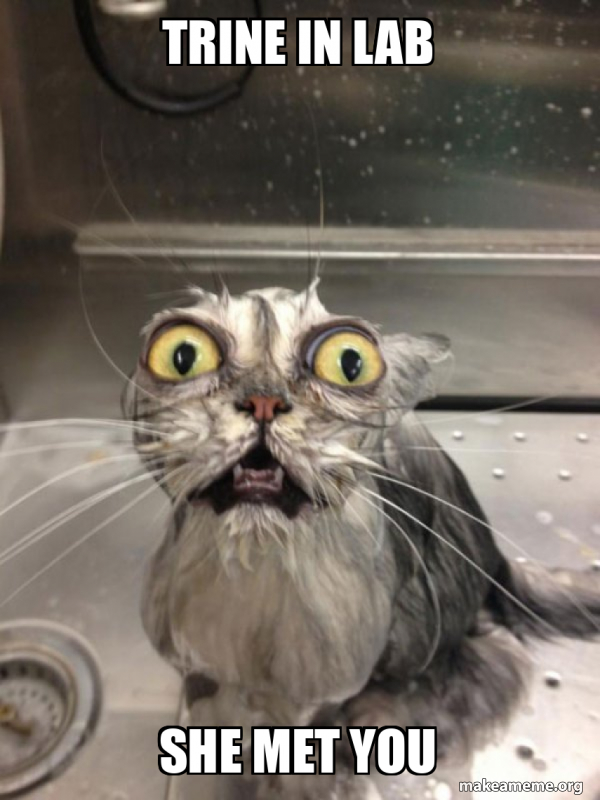 Trine in lab She met you - Cat bath Meme Generator