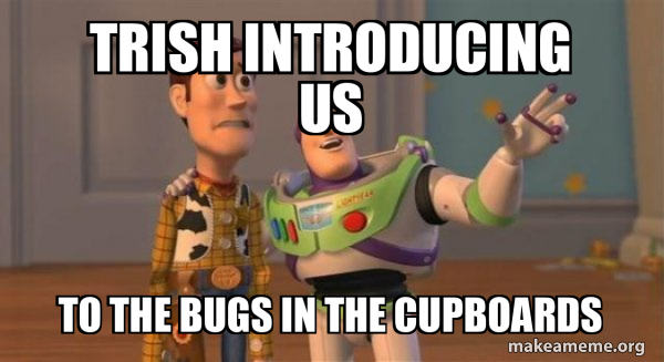 Trish introducing us to the bugs in the cupboards - Buzz and Woody (Toy ...