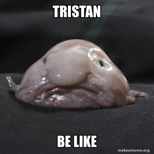 Tristan be like - Blobfish Meme Generator