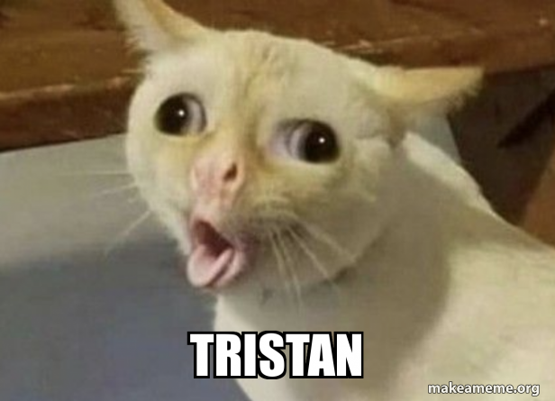 Tristan Meme Generator