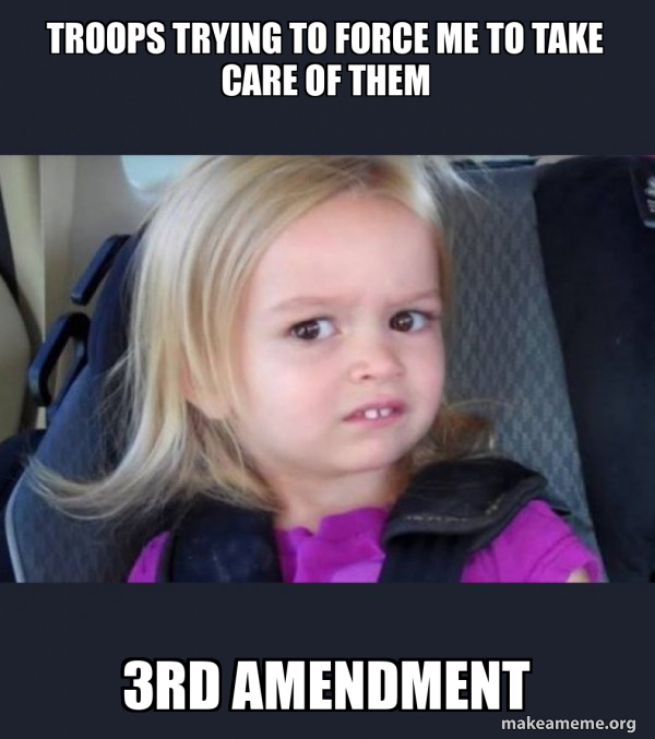 Troops trying to force me to take care of them 3rd amendment - Side-Eyes Chloe Meme Generator
