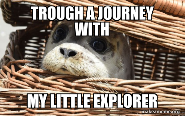 TROUGH A JOURNEY WITH MY LITTLE EXPLORER - Impending Doom Seal Meme ...