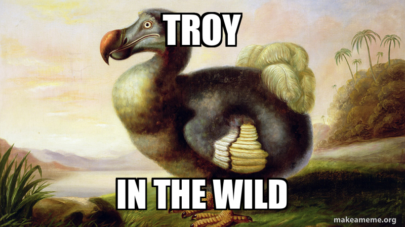 Troy In the wild Meme Generator