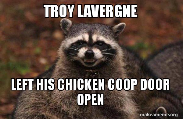 troy lavergne left his chicken coop door open - Evil Plotting Raccoon ...