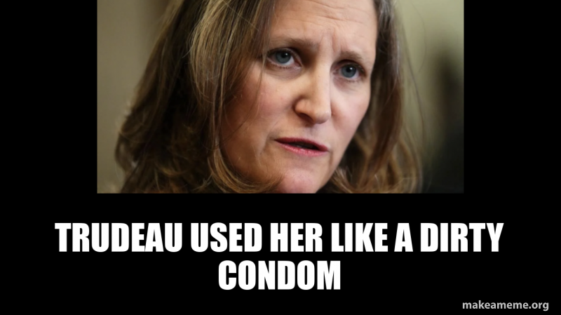 Trudeau used Her like a dirty condom Meme Generator