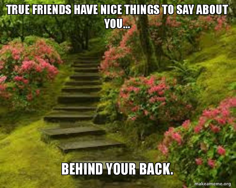 True friends have nice things to say about you... behind your back ...
