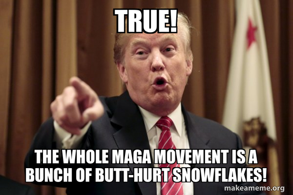 true! the whole maga movement is a bunch of butt-hurt snowflakes ...