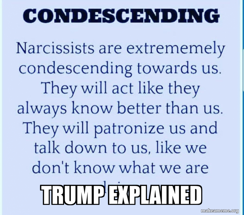 trump explained Meme Generator