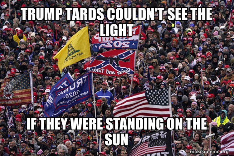 trump tards couldn't see the light if they were standing on the sun ...
