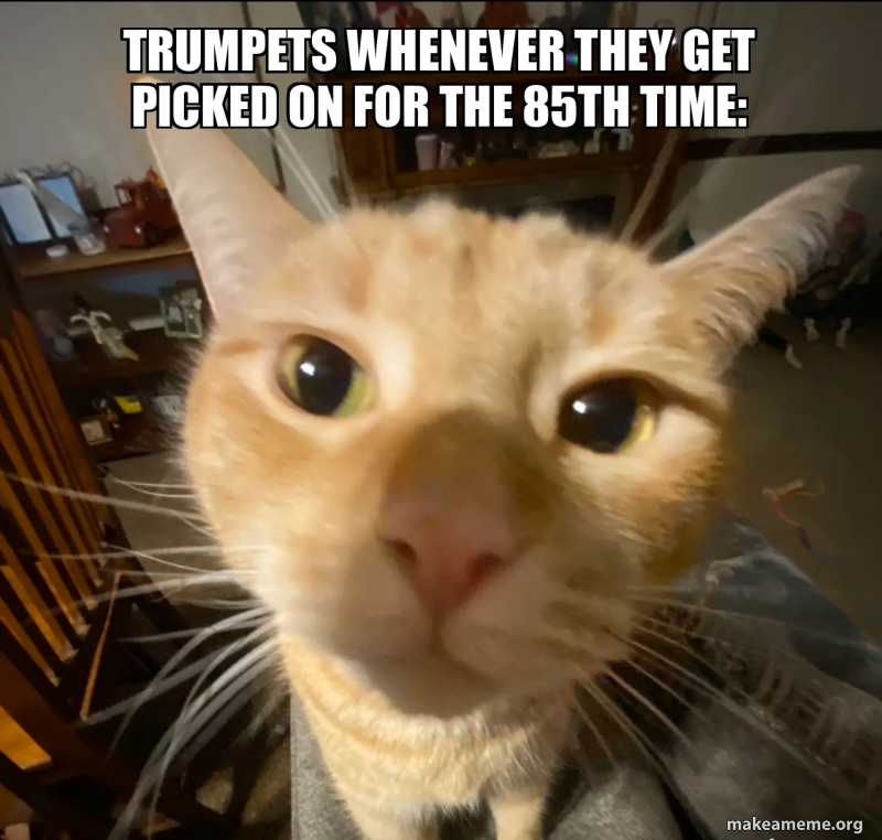 Trumpets whenever they get picked on for the 85th time: Meme Generator