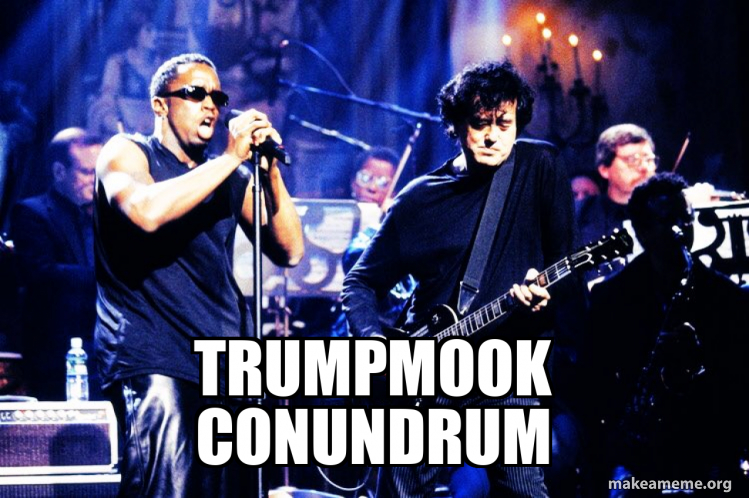 trumpmook conundrum Meme Generator